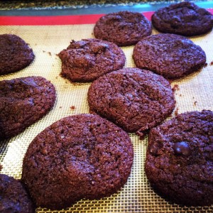 Chocolate chocolate chip cookies (grain free) – Munson Mischief